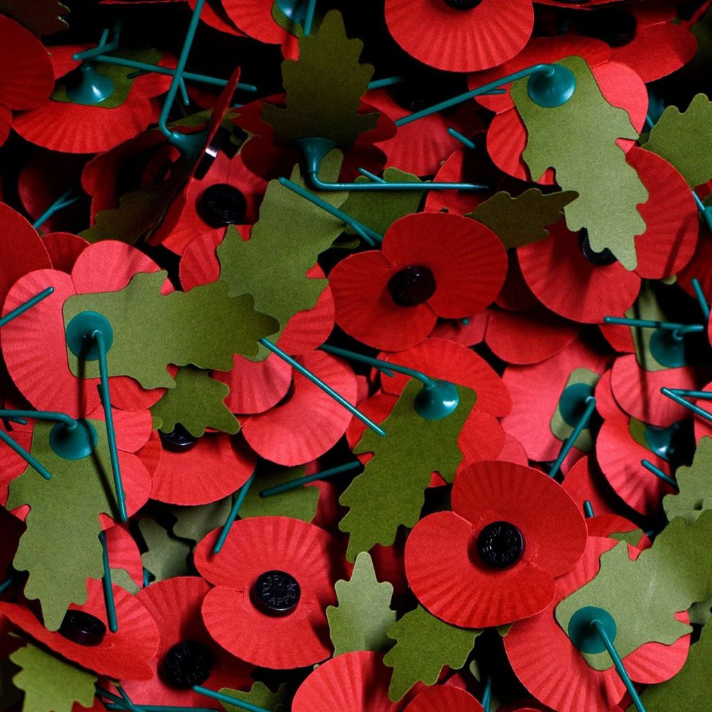 Annual Poppy Appeal – Hadlow Down
