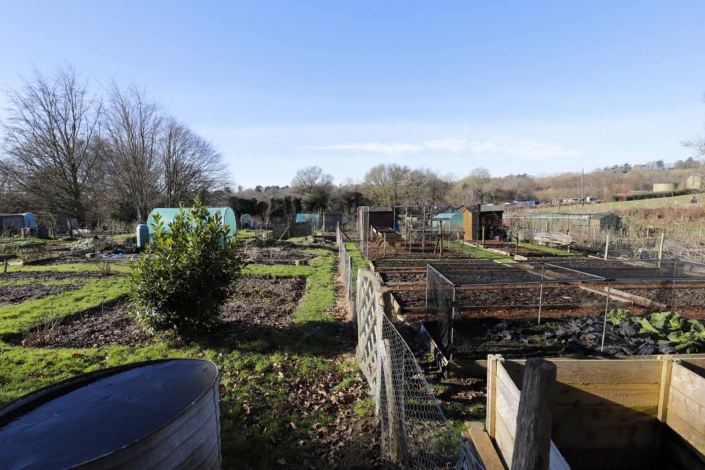 Allotments Available to Hadlow Down Residents – Hadlow Down